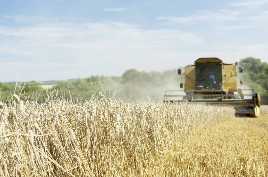 HKCM - Unsere Analyse. Ihr Handelserfolg
